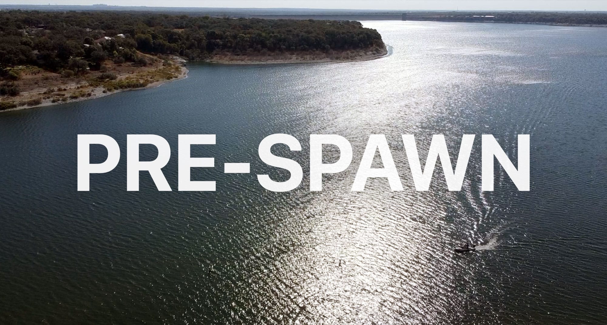 A Pre-Spawn Deep Dive